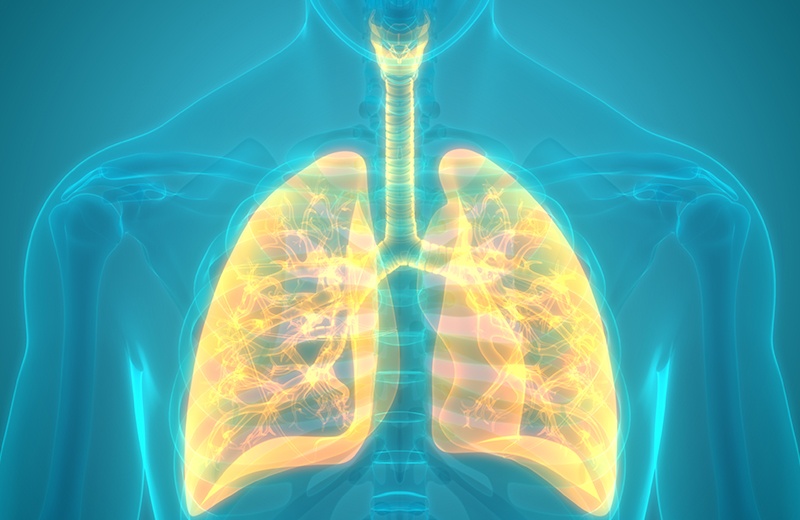 Bronhopneumopatia cronică obstructivă - Ce este? | PortalMed