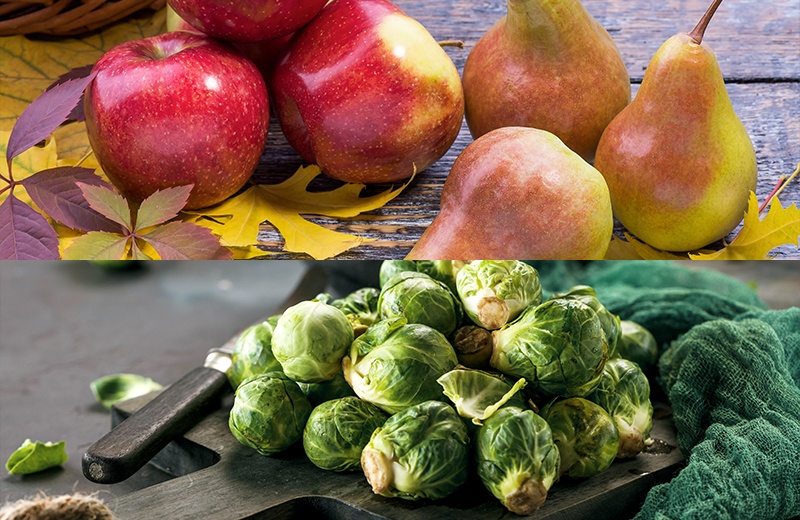 Fructe și legume de toamnă, bune de consumat pentru un organism sănătos ...
